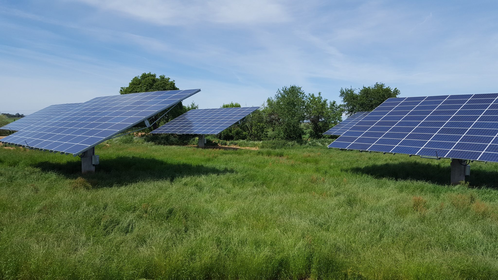 Israel Taps Mechatron Dual-Axis Trackers for Dual-Use Applications ...